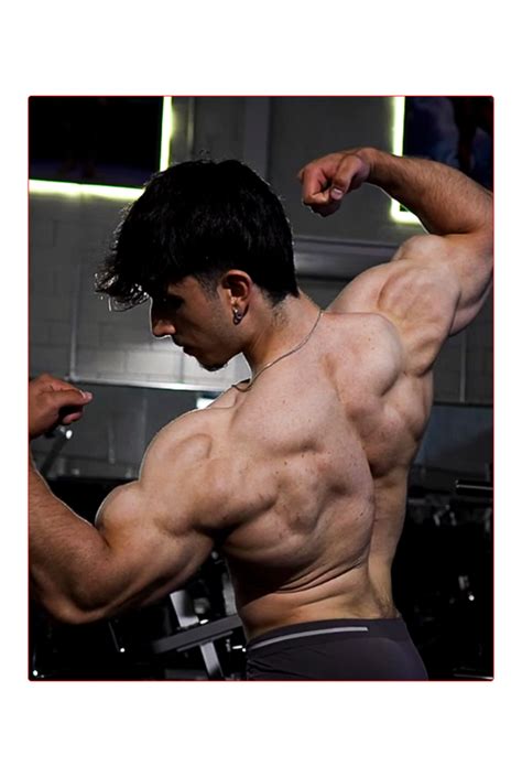 Shape De Aço The New School