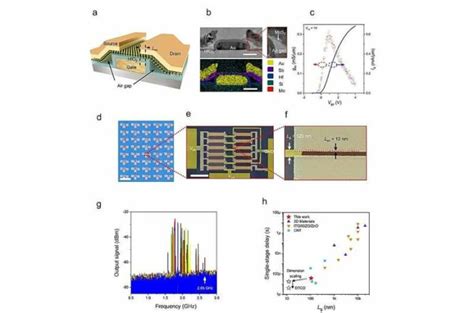 Ring Oscillators Based On 2d Semiconductors