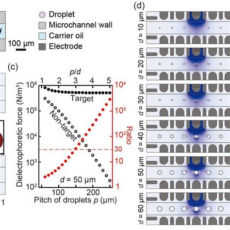 Pdf Dual Sequentially Addressable Dielectrophoretic Array For High Throughput Scalable