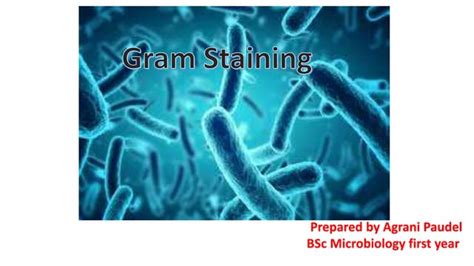 Life Cycle Of Plasmodium Pptx