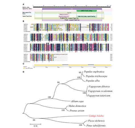 Protein Domain Multiple Alignment Structural Features And Download Scientific Diagram