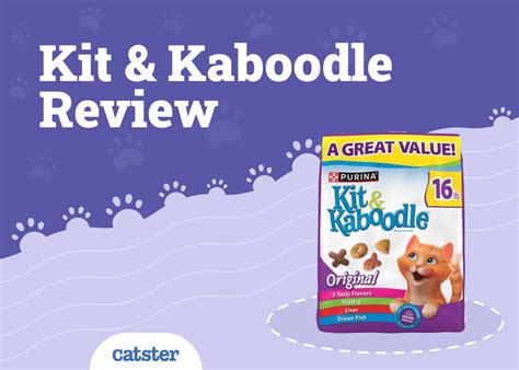Kit And Kaboodle Cat Food Review Of 2026 Recalls Pros And Cons Catster