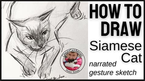 How To Draw A Siamese Cat Laying Down Facing Forward From Above Full Body Simple Sketch