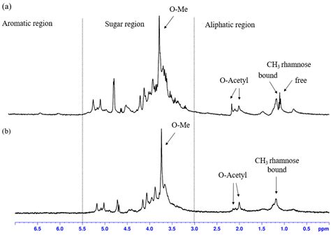 1h Nmr Hpsec Rid And Hpaec Pad Characterization Of Polysaccharides