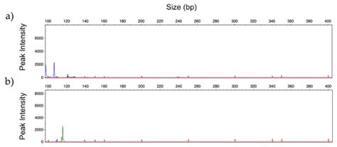 Multiplex Pcr Based Strategy For Detection Of Fungal Pathogen Dna In Patients With Suspected