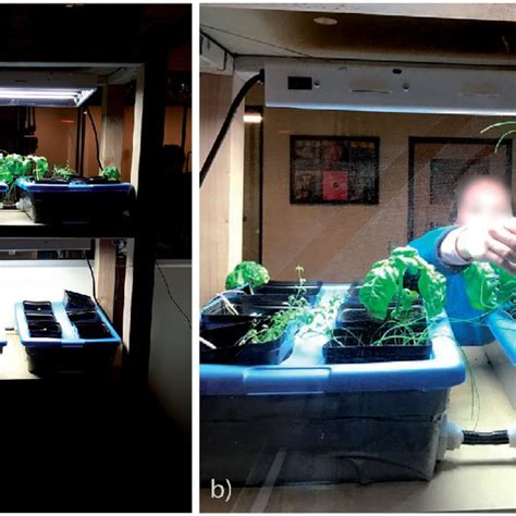 A Prototype Hydroponic Garden Used In The Workshop And Constructed By Download Scientific