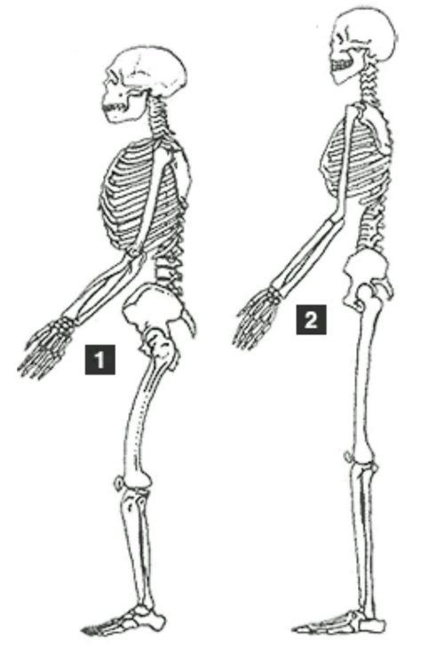 The Pidgin Language World