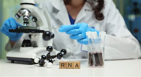 In A Laboratory Setting Microscopy And Rna Analysis Are Critical For Scientific Progress Stock