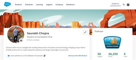 Saurabh C On Linkedin Trailblazer Salesforce Learningmilestone
