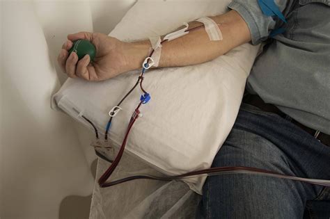 Entenda A Pec Que Libera Venda Do Plasma Humano 06 10 2023 Cotidiano Folha