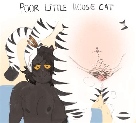 Rule 34 2023 Anthro Black Body Black Hair Black Markings Bodily