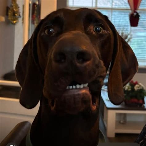 Marcy Missymar79 • Threads Say More