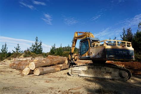 A Timber Mill Operation In A Plantation Forest Milling Blue Gum Tree Logs Into Planks Editorial