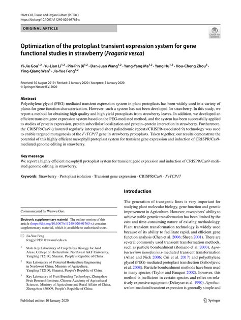 Pdf Optimization Of The Protoplast Transient Expression System For