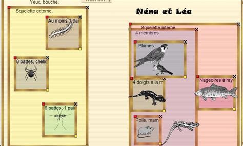 S Prit Du V De T Phyloboîte Pour Comprendre Le Principe De Classification Emboîtée
