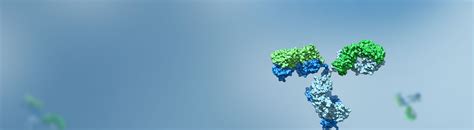 Protein Engineeringhangzhou Healsun Biopharm Coltd