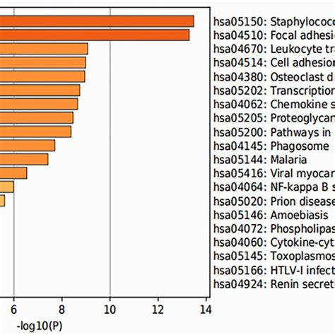Pathway And Process Enrichment Analysis Bar Graph Of The Enriched