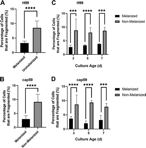 Cell Fragmentation Following Sonication A Percent Fragmentation Of