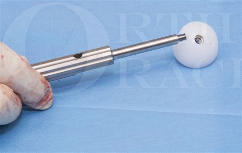 Lima Smr Stemless Reverse Shoulder Replacement Orthoracle Luanmd