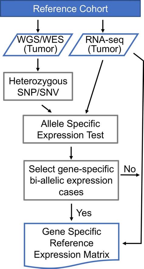 Workflow For Constructing The Gene Specific Reference Expression Matrix