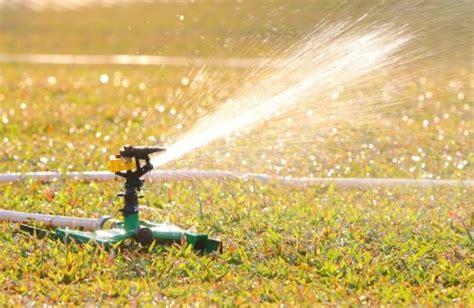 How Long Should I Leave The Sprinkler On Sumo Gardener