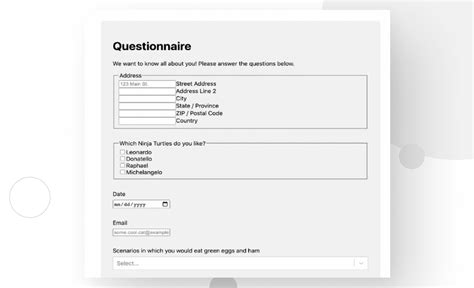 How To Use Gravity Forms In Headless Wordpress With Nextjs White Canvas