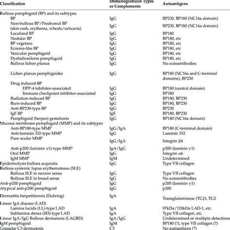 Classification Immunoglobulin Types And Autoantigens Of Pemphigoid