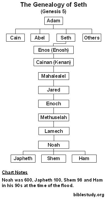 The Genealogy Of Seth