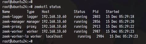 how to install zeek network security monitoring tool on ubuntu 24 04
