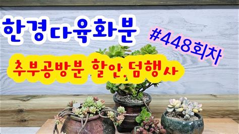 2024년 4월 6일448회차영상 한경다육화분 수제공방분 공방분 다육화분 화분 다육이 Youtube