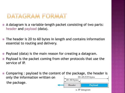 ch 19 network layer protocols section 1 pptx computer networking