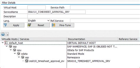 Cannot Load Meta Data For Service Sapopuodatas Sap Community