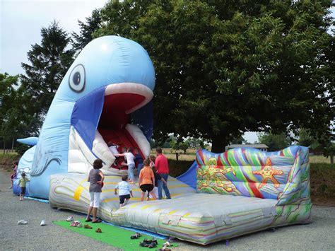 Location Structure Gonflable Baleine Géante Jm Prestations