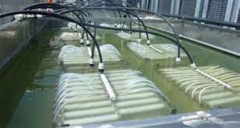 Membrane Bio Reactor At ₹ 500000 Membrane Bioreactors In Nagpur Id