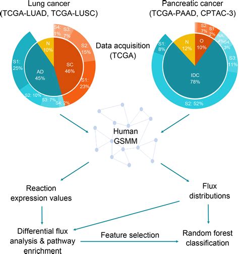 Multi‐omic Data Integration And Exploiting Metabolic Models Using