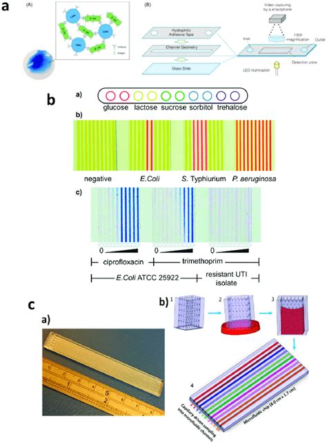Applications Of Capillary Driven Flow Microfluidics For Tackling