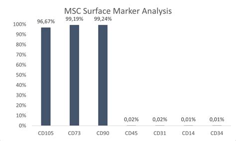 Cc Bm Hmsc 1cc Bm Hmsc 10 Human Bone Marrow Mscs