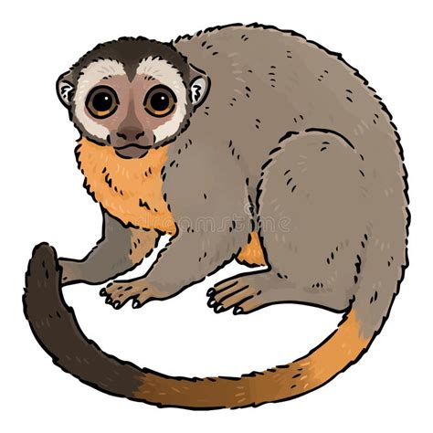 Simple Illustration Of Cute Night Monkey Stock Vector Illustration Of