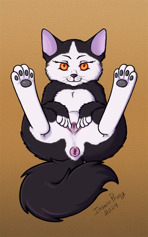 Rule 34 Absurd Res Anus Black Body Black Fur Bodily Fluids Cum Domestic Cat Felid Feline Felis