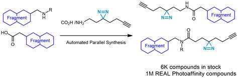 Fully Functionalized Probe Library Enamine