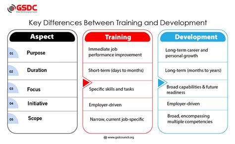 What Is The Difference Between Training And Development