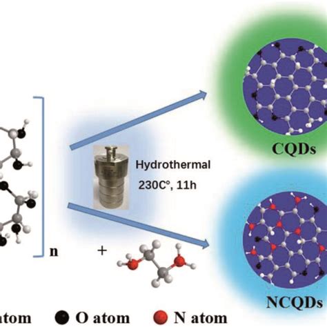 The Synthesis Illustration Of Cqds And Ncqds Download Scientific Diagram