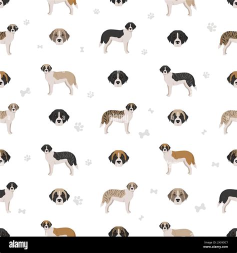 Alentejo Mastiff All Colours Seamless Pattern Different Coat Colors Set Vector Illustration