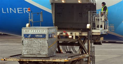 Iata Actualiza Sus Manuales Operativos Y Refuerza La Seguridad En La