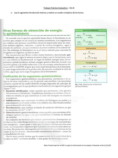 Quimiosintesis 6to B Pdf