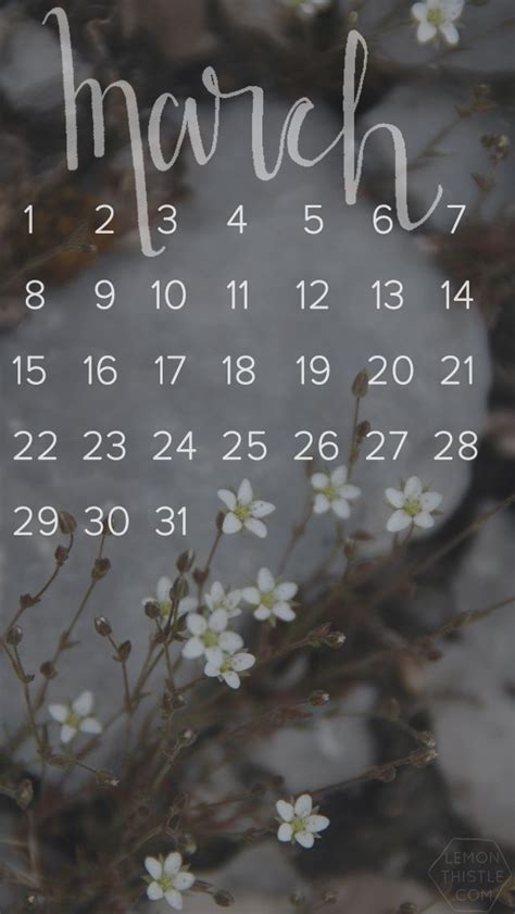 Photographic Floral Foliage March Calendar Iphone Phone Wallpaper