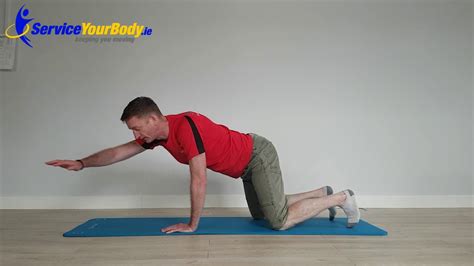 Ac Joint Separation Rehab Exercises Youtube