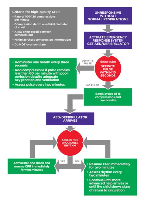 Pediatric Advanced Life Support Pals Bls Algorithm
