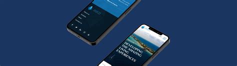 Assets Group Adberries