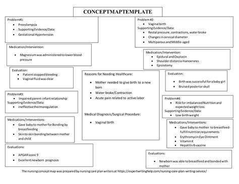 Maternity Nursing Care Concept Map Example Docx